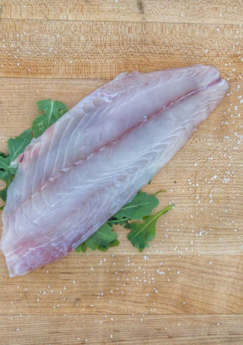 Yellowtail Snapper 8oz. Filets – Florida Fresh Lobster & Stone Crab ...